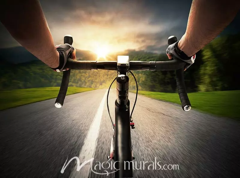Handlebar View Wallpaper Wall Mural by Magic Murals