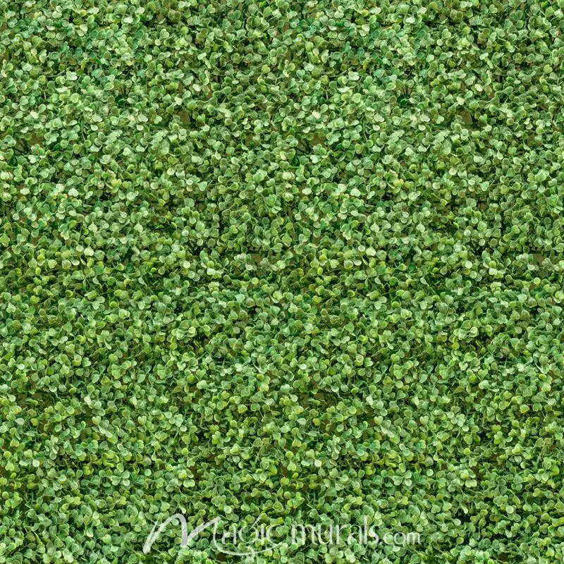Green Leaf Wall Wallpaper Wall Mural by Magic Murals