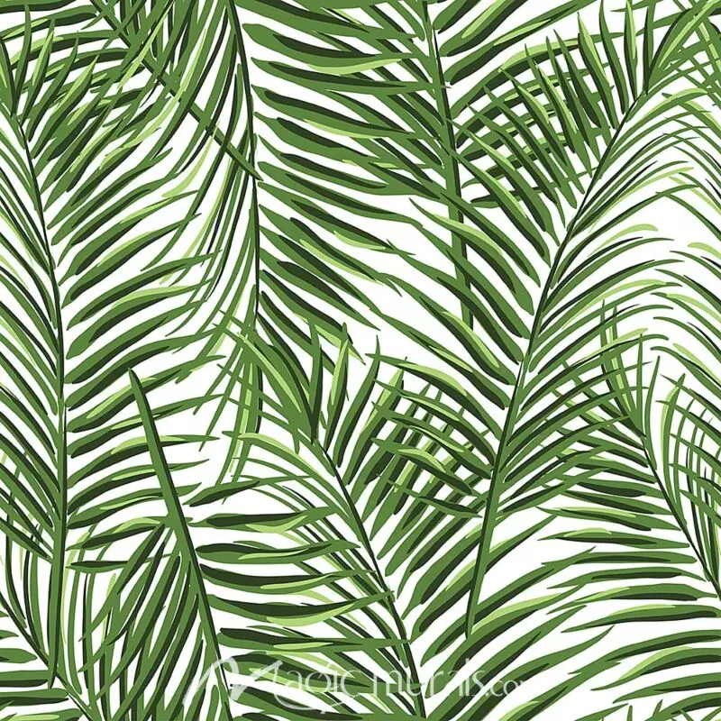 Palm Fronds Wallpaper Wall Mural by Magic Murals