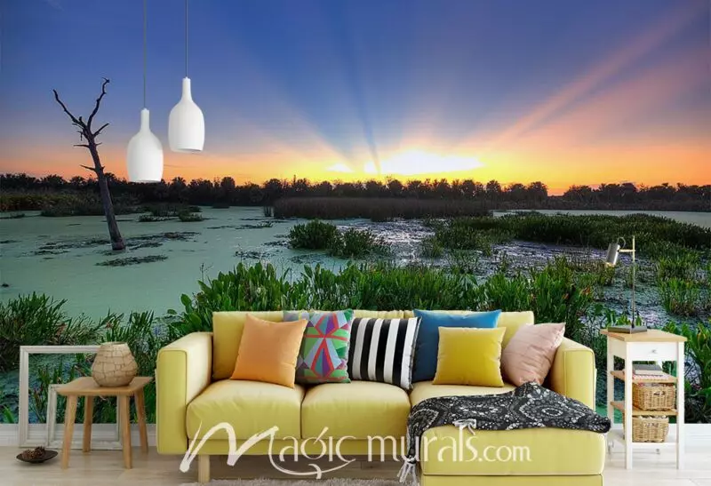Swamp Sunrise Wallpaper Wall Mural by Magic Murals