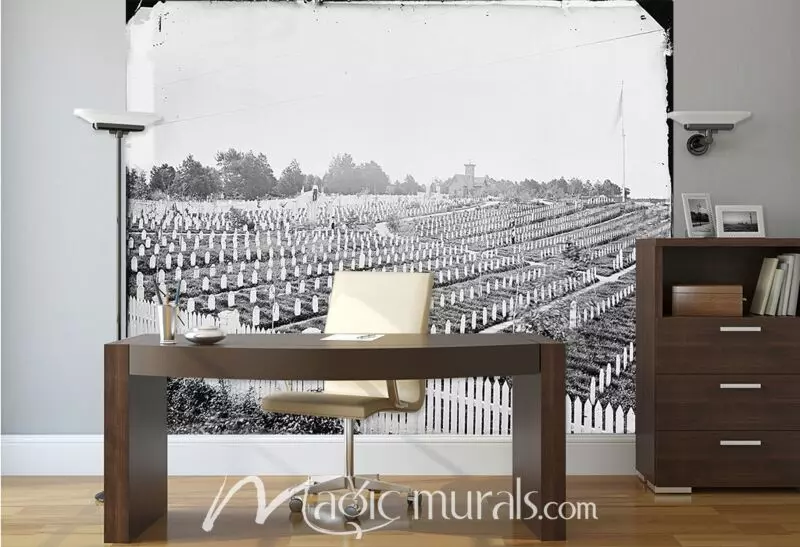 Civil War Cemetery Wallpaper Wall Mural by Magic Murals