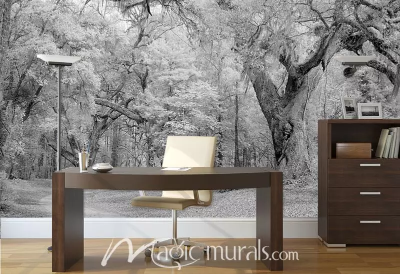Historic Battlefield Wallpaper Mural by Magic Murals