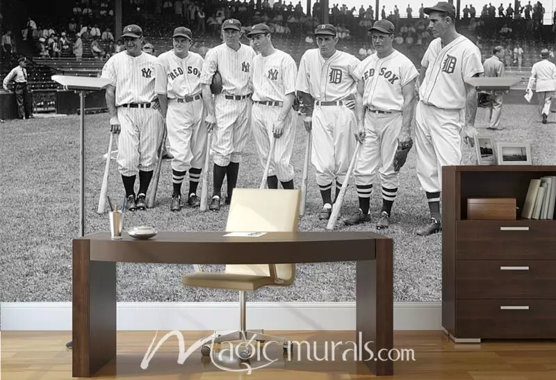 All Star Team Wallpaper Wall Mural by Magic Murals