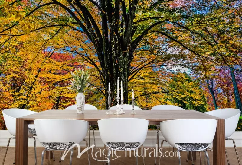 Fall Foliage in Park III Wallpaper Mural by Magic Murals