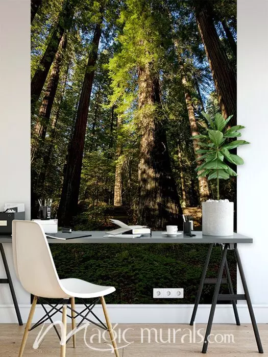 Tall! Wallpaper Wall Mural by Magic Murals
