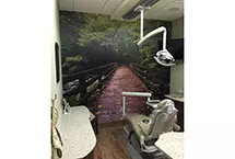 Wall Murals for Doctors and Medical Offices | Magic Murals