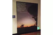 Wall Murals for Museums by Magic Murals