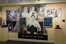 Wall Murals for Museums by Magic Murals