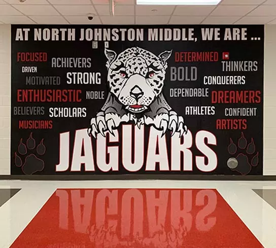 Wall Murals for Schools, Colleges & Libraries by Magic Murals