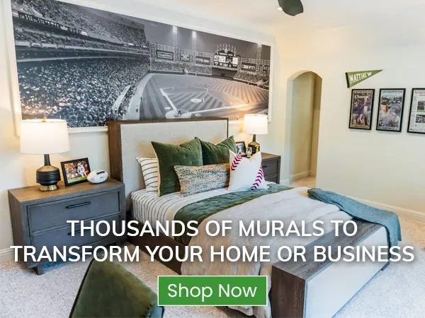 Wall Murals & Mural Wallpaper Art | MagicMurals.com