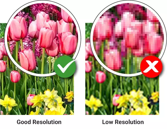 Image Quality Guidelines