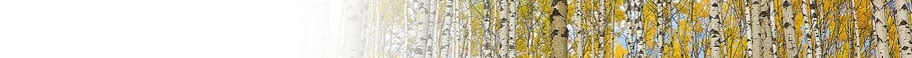 Nature Murals - Wall Murals of Nature at MagicMurals.com