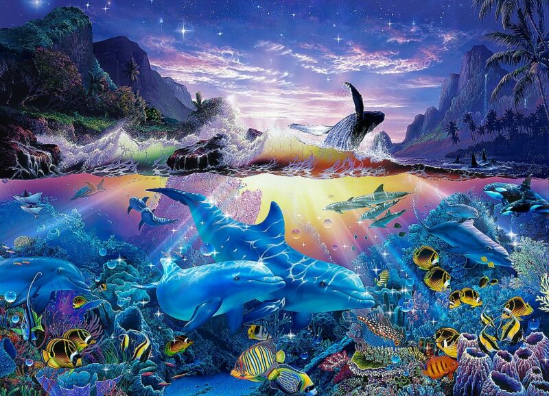 Under the Sea Murals - Underwater Wall Murals