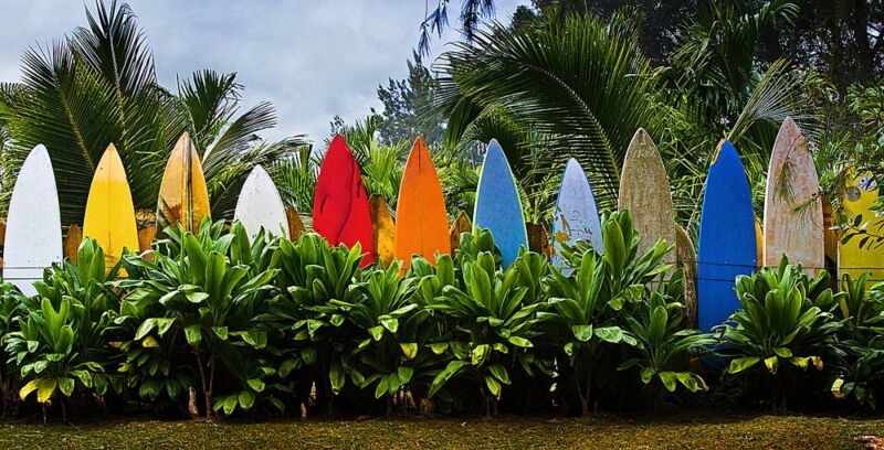 Surfing Murals - Wall Murals of Breaking Surf & Surfing