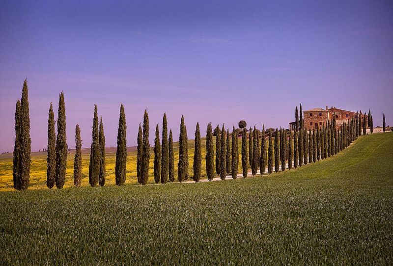 Tuscany Wall Murals - Murals of Tuscan Scenes