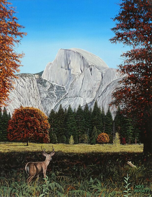 Deer Murals at MagicMurals.com