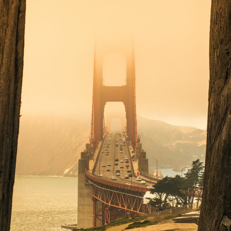 Adam Jacobs - Mural Artist & Photographer