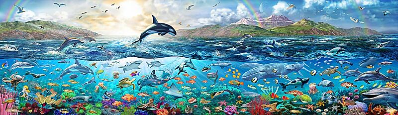 Coral Reef Murals - Wall Murals of Reef Scenes