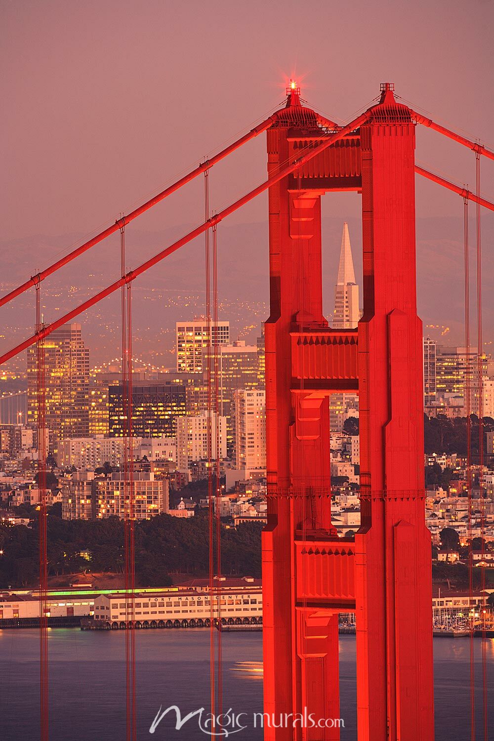View From GGNRA Wallpaper Wall Mural by Magic Murals