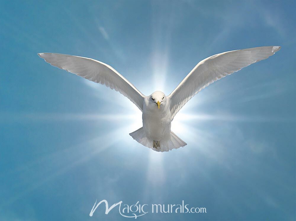 White Dove Wallpaper Wall Mural by Magic Murals