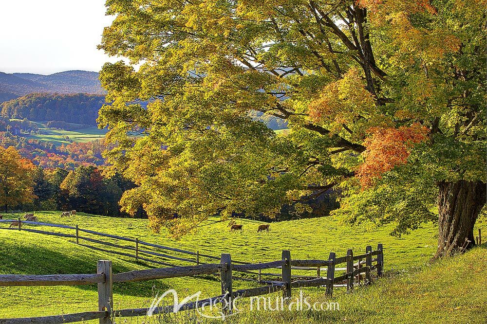 Autumn on the Range Wallpaper Wall Mural by Magic Murals