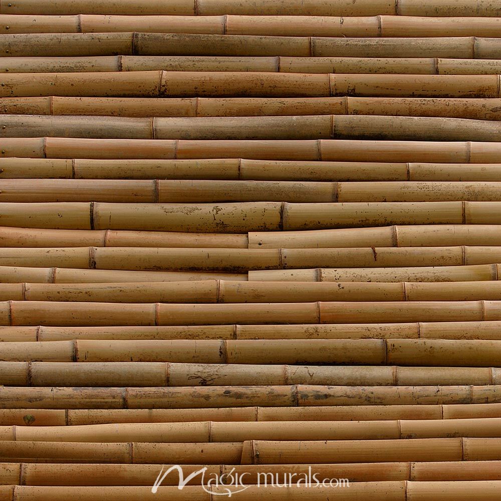 Nature’s Textures IV Wallpaper Mural by Magic Murals