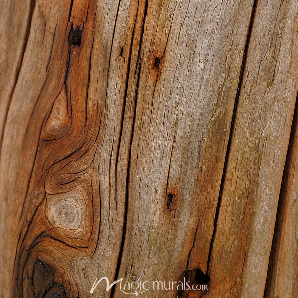 Nature's Textures IX Wallpaper Mural by Magic Murals