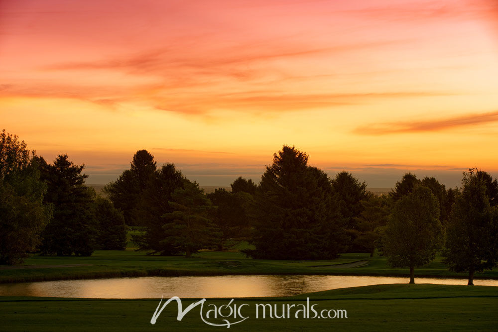 Golf Course At Dusk Wallpaper Wall Mural by Magic Murals