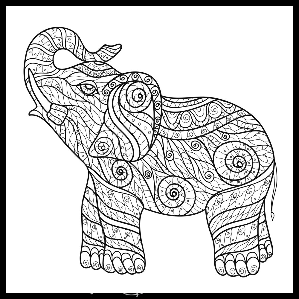 Zentangle Elephant Coloring Mural by Magic Murals