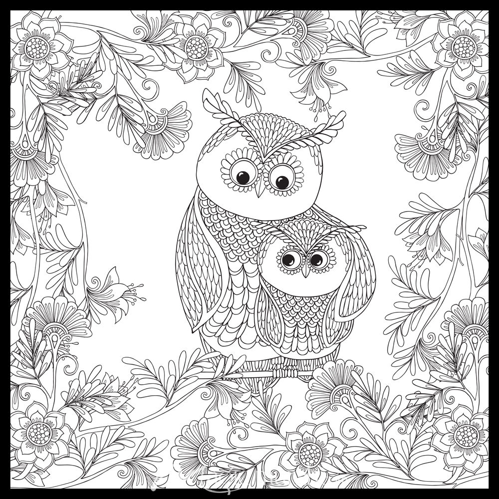 Mother Owl Coloring Mural by Magic Murals