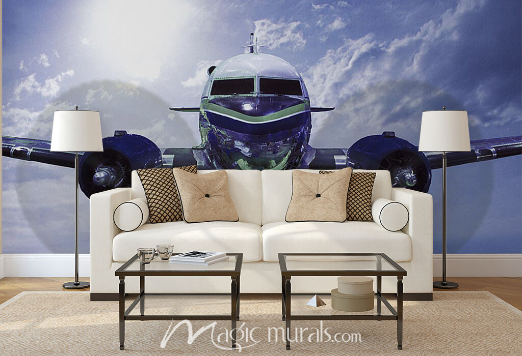 Head-On View Of Airplane Wallpaper Mural by Magic Murals
