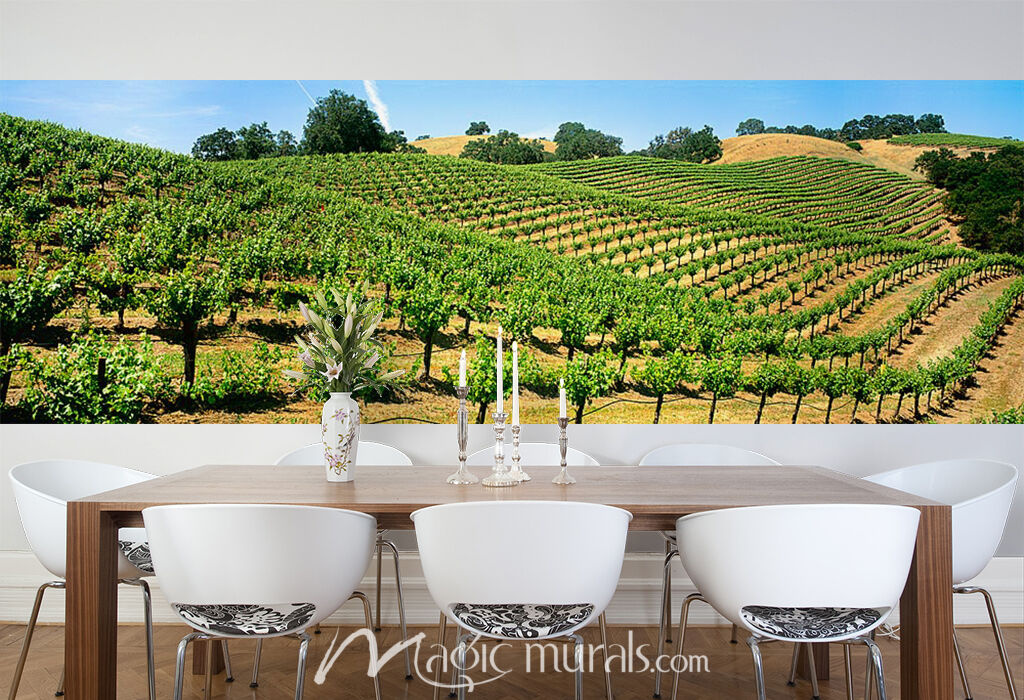 Hillside Wine Grape Vineyard Wallpaper Mural by Magic Murals