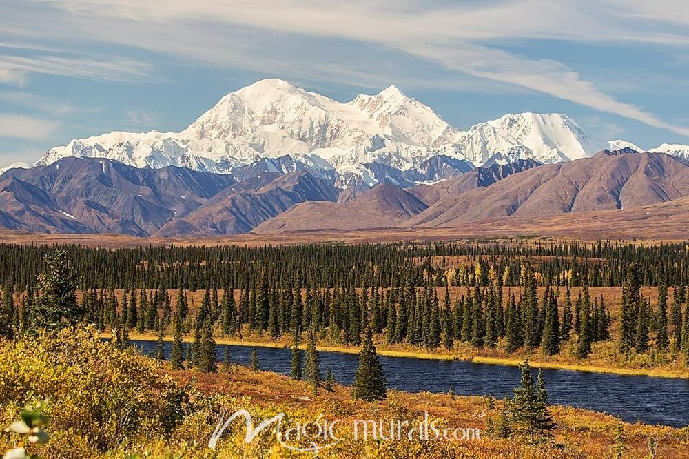 Denali View Wallpaper Wall Mural by Magic Murals