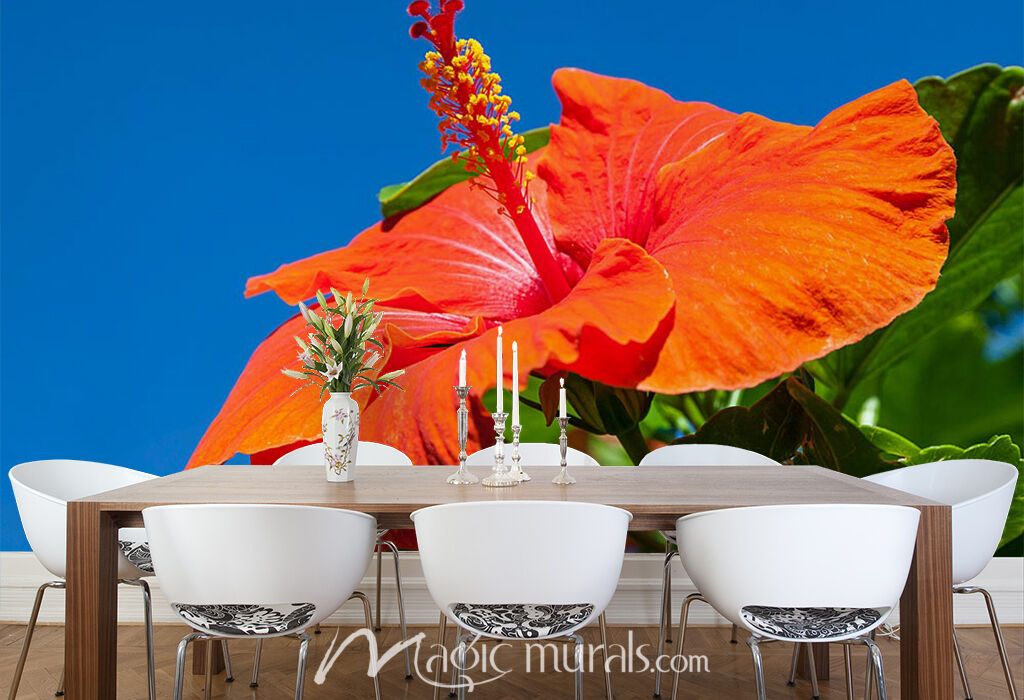 Red Hibiscus Closeup Wallpaper Mural by Magic Murals