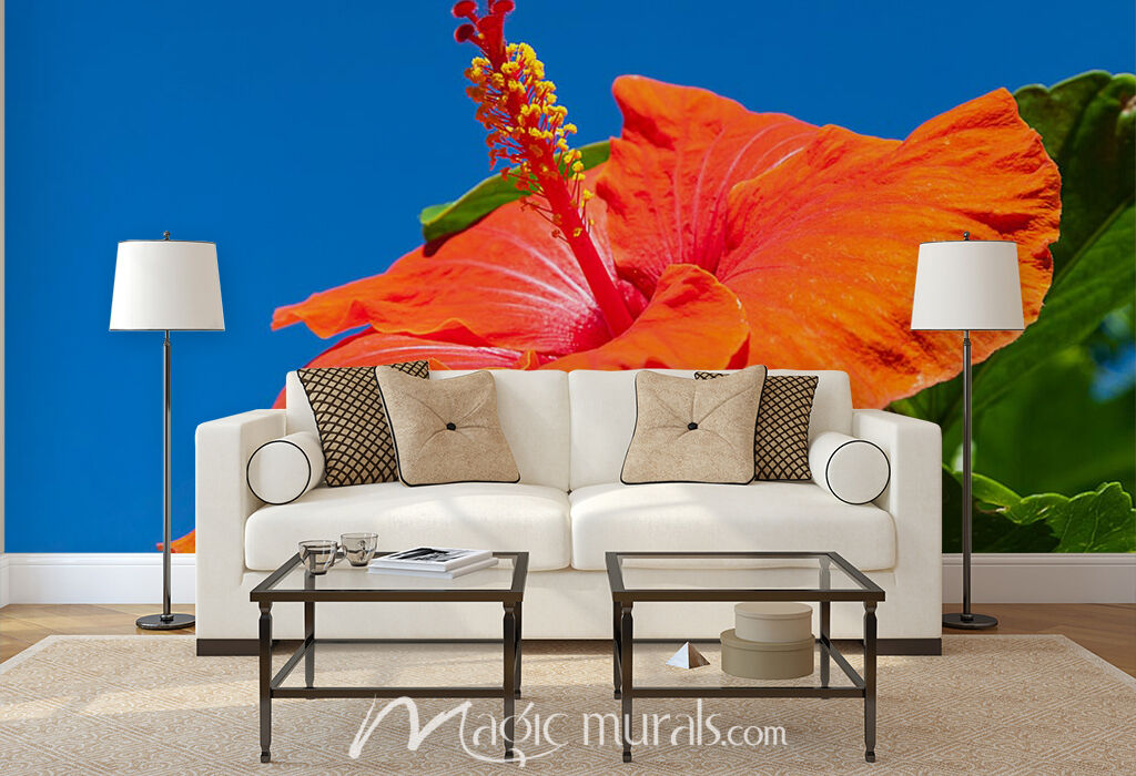 Red Hibiscus Closeup Wallpaper Mural by Magic Murals