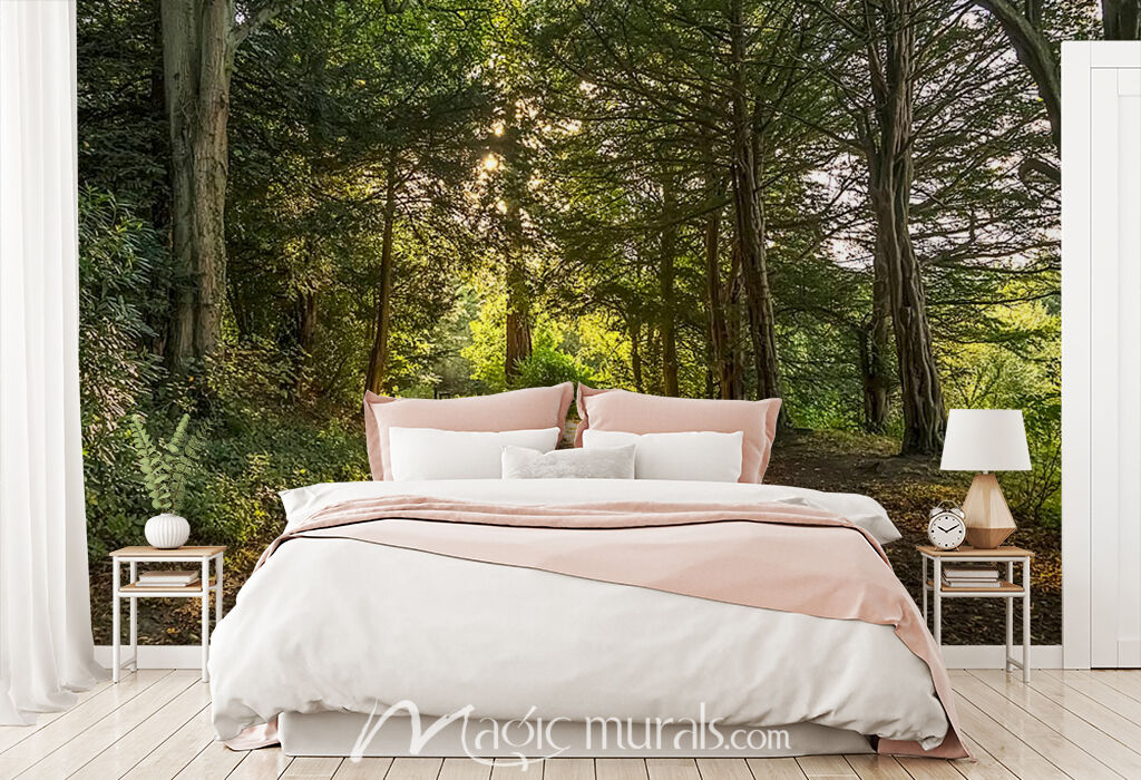 Sunlit Forest Path Wallpaper Wall Mural by Magic Murals