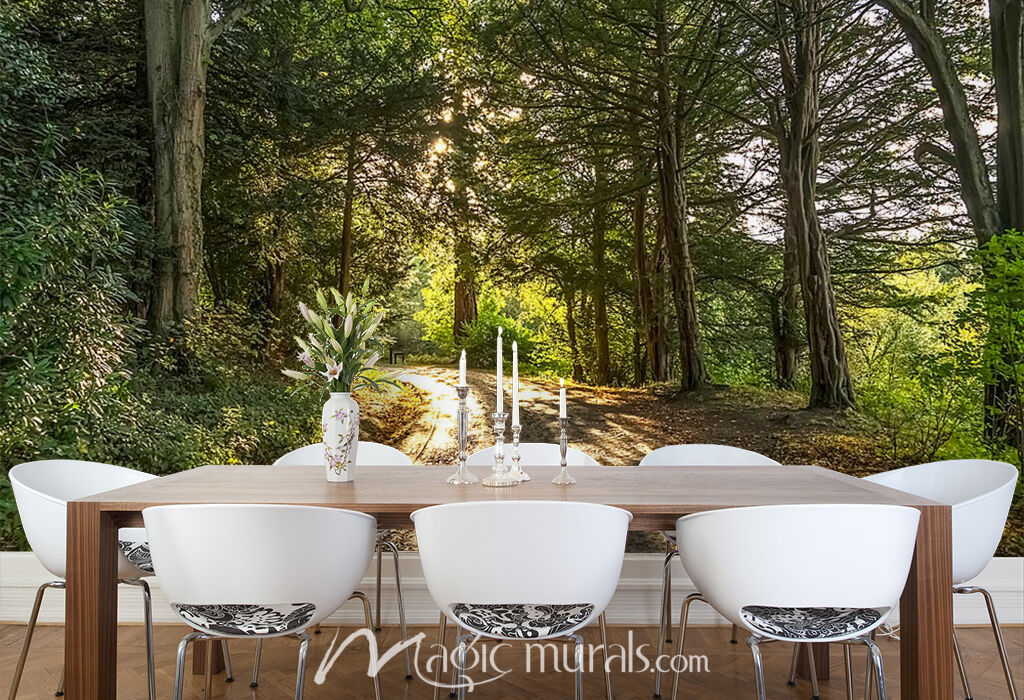 Sunlit Forest Path Wallpaper Wall Mural by Magic Murals