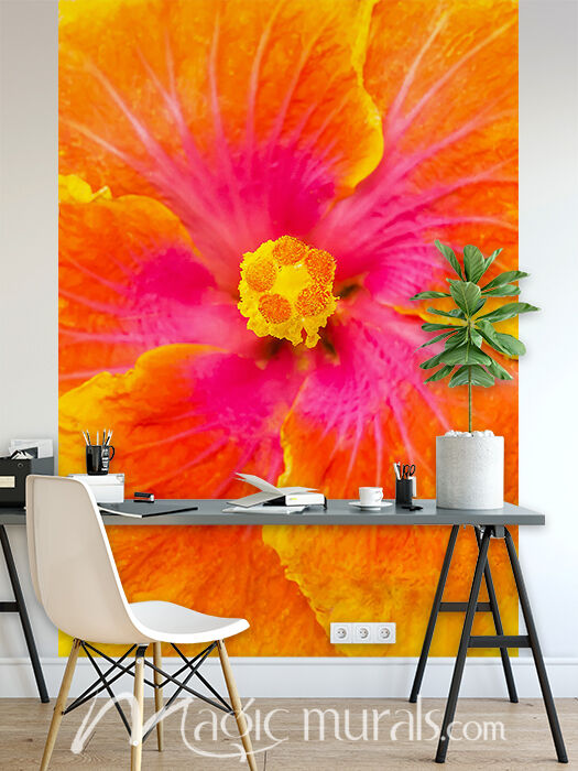 Orange and Pink Hibiscus Wallpaper Mural by Magic Murals