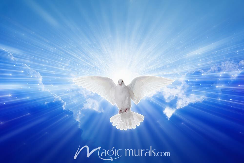 Holy Spirit Came Down Like a Dove Mural by Magic Murals
