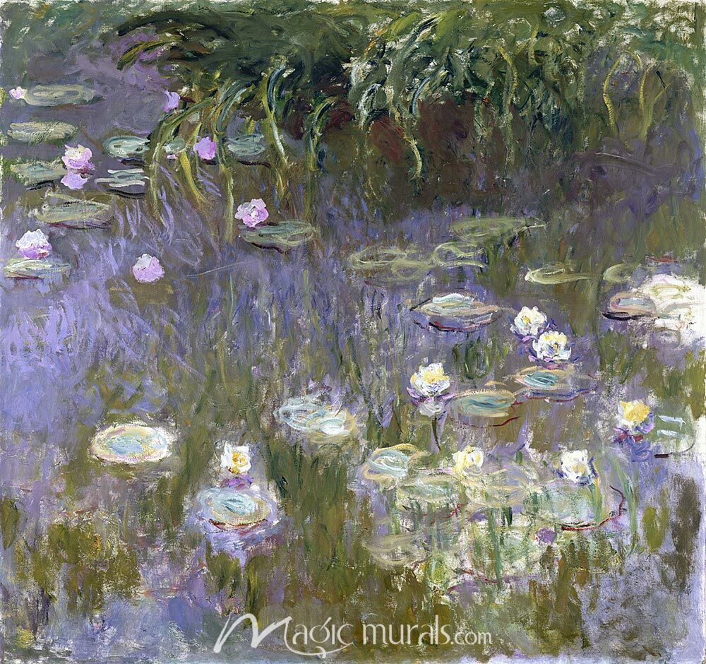 Water Lilies Wallpaper Wall Mural by Magic Murals