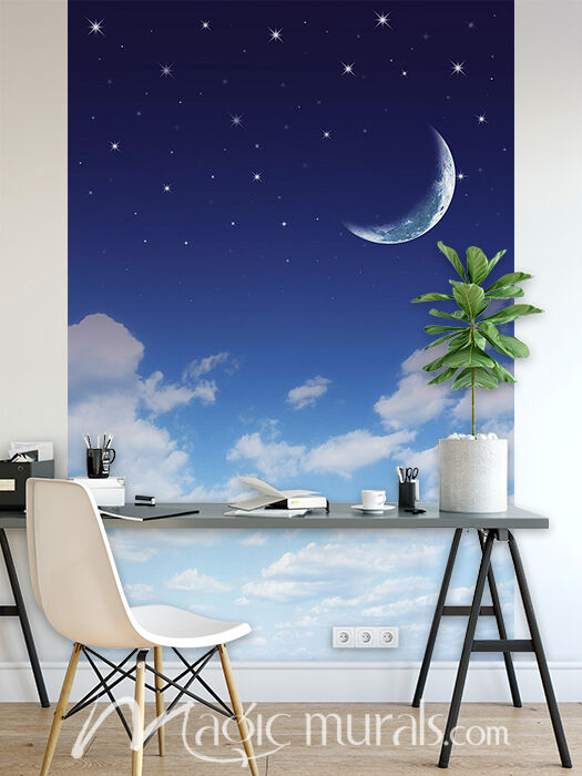 Daydreamer's Crescent Moon Wallpaper Mural by Magic Murals