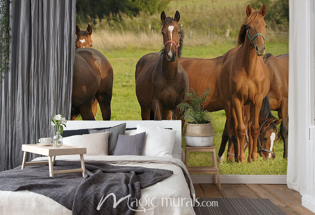 Group of Horses Wallpaper Wall Mural by Magic Murals
