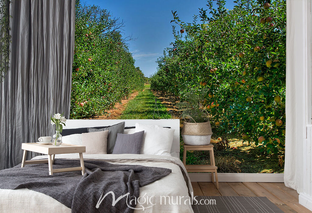 Apple Orchard Wallpaper Wall Mural by Magic Murals
