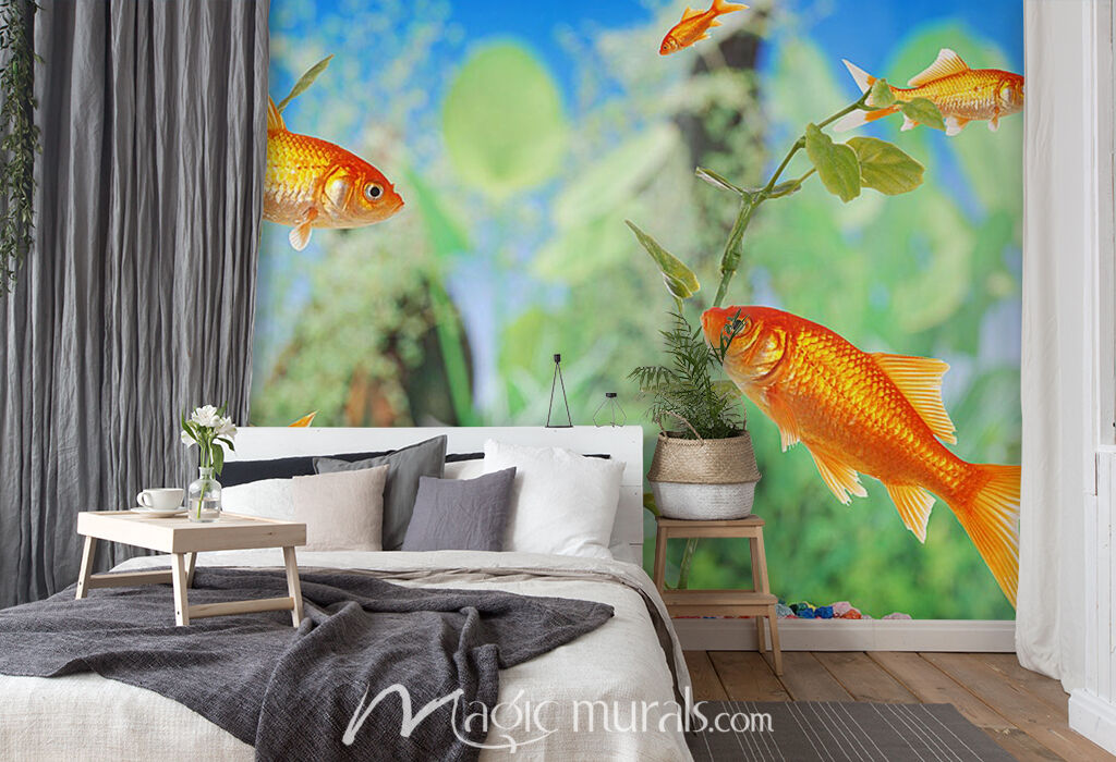Goldfish Swimming Wallpaper Wall Mural by Magic Murals