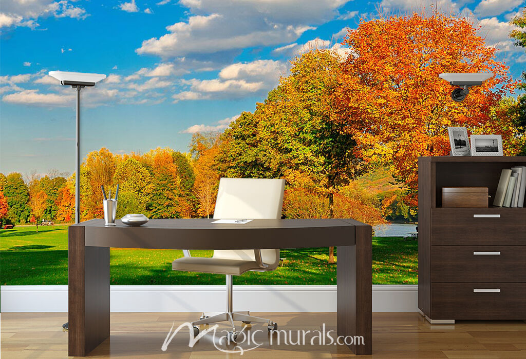 Fall Day in Delaware Wallpaper Mural by Magic Murals