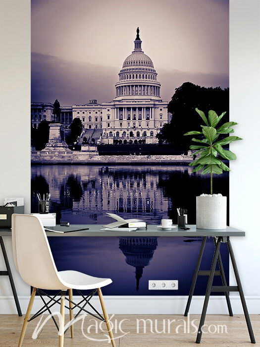 Monotone US Capitol Building Wallpaper Mural by Magic Murals