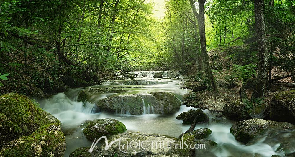 Summer Forest Stream Wallpaper Mural by Magic Murals