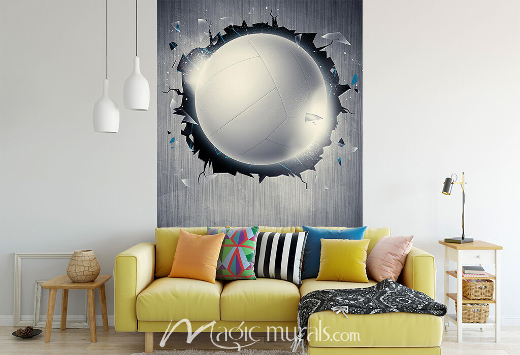 Volleyball Crash Wallpaper Wall Mural by Magic Murals