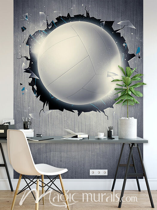 Volleyball Crash Wallpaper Wall Mural by Magic Murals