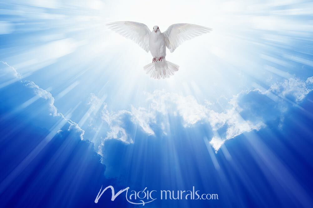 Holy Spirit Dove Wallpaper Wall Mural by Magic Murals